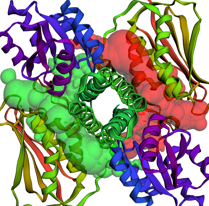 CASTpFold: Computed Atlas of Surface Topography of the universe of ...